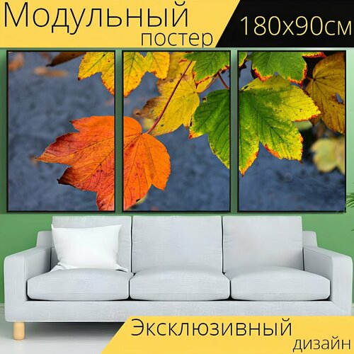 Модульный постер "Осенний лист, вена, шаблон" 180 x 90 см. для интерьера
