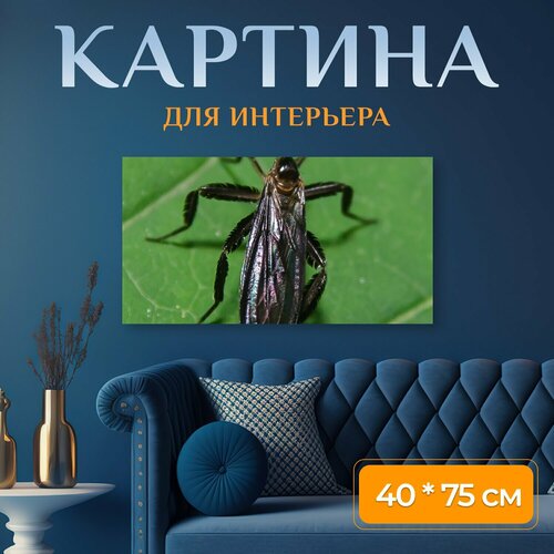 Картина на холсте "Жук, насекомое, растения" на подрамнике 75х40 см. для интерьера