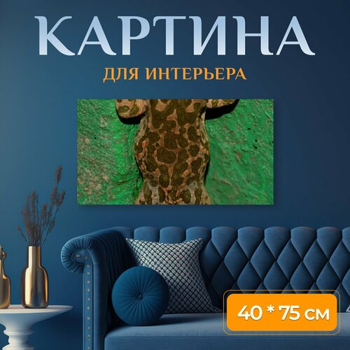 Картина на холсте "Лягушка, грин, амфибия" на подрамнике 75х40 см. для интерьера