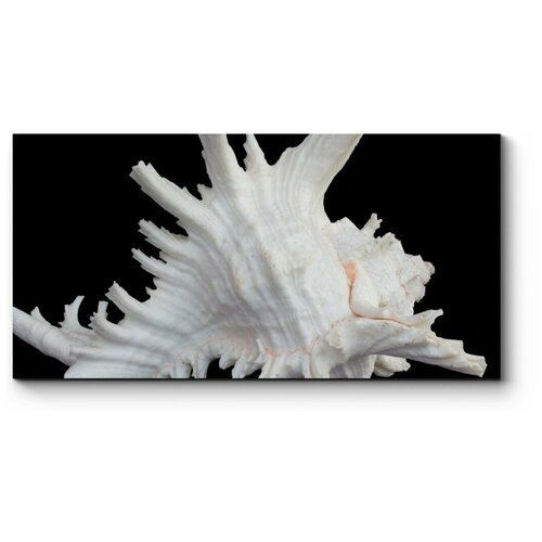 Модульная картина Морская раковина60x30