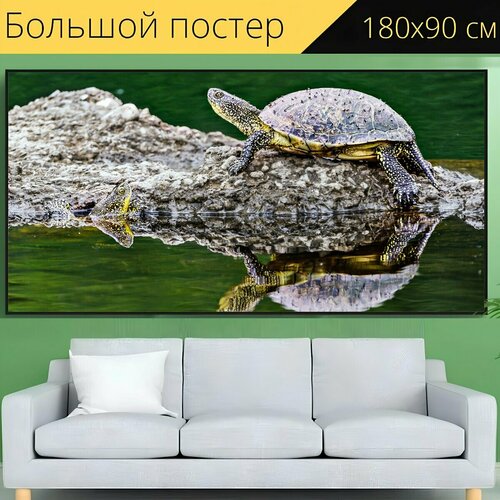 Большой постер "Черепахи, пруд, камень" 180 x 90 см. для интерьера