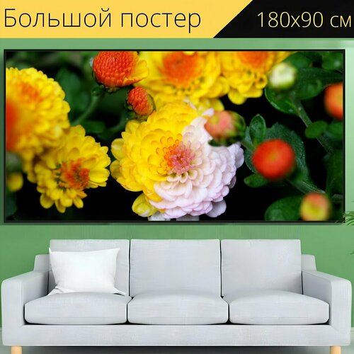 Большой постер "Цветы, хризантемы, сад" 180 x 90 см. для интерьера