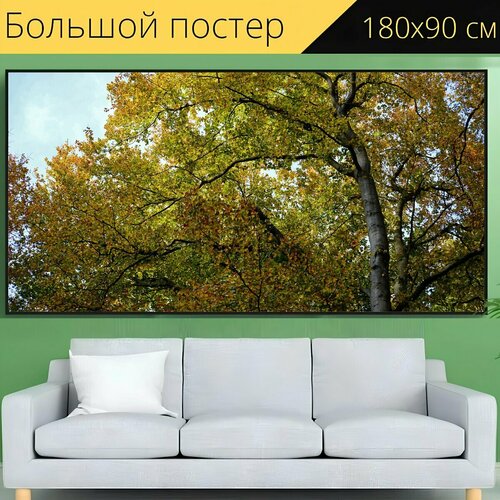 Большой постер "Дерево, осенние краски, осень" 180 x 90 см. для интерьера