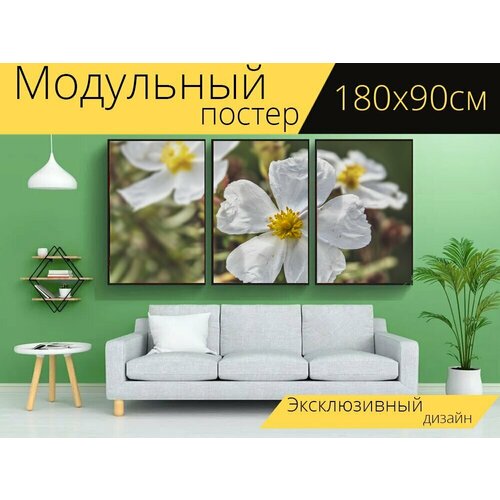 Модульный постер "Белый, цветок, лепестки" 180 x 90 см. для интерьера