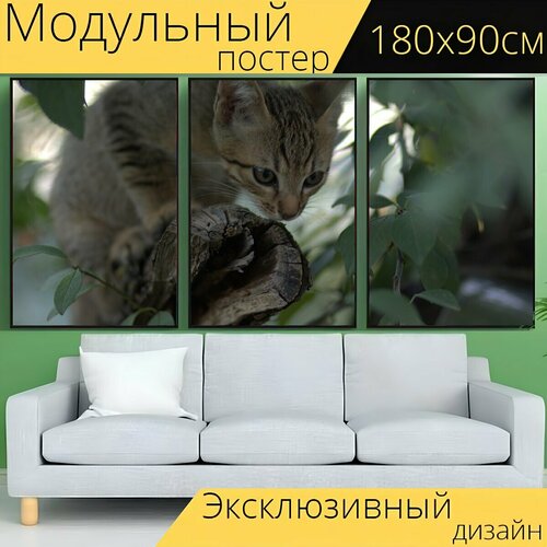 Модульный постер "Кот, кошачий, серый" 180 x 90 см. для интерьера
