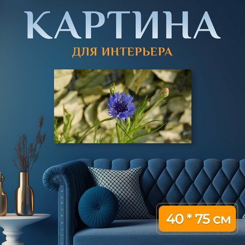 Картина на холсте "Василек, природа, цветок" на подрамнике 75х40 см. для интерьера