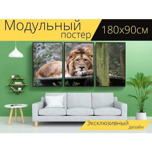 Модульный постер "Лев, король, величественный" 180 x 90 см. для интерьера