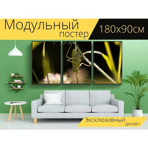 Модульный постер "Кузнечик, сенокосец, насекомое" 180 x 90 см. для интерьера