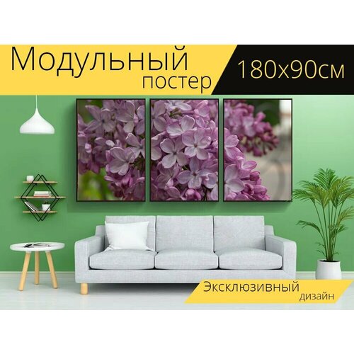 Модульный постер "Цветок, сирень, фиолетовый" 180 x 90 см. для интерьера