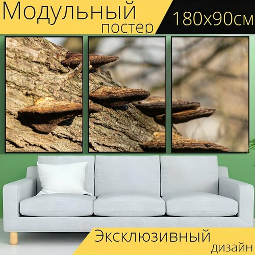 Модульный постер "Грибы, дерево, древесные грибы" 180 x 90 см. для интерьера