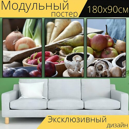 Модульный постер "Грибы, репа, овощи" 180 x 90 см. для интерьера