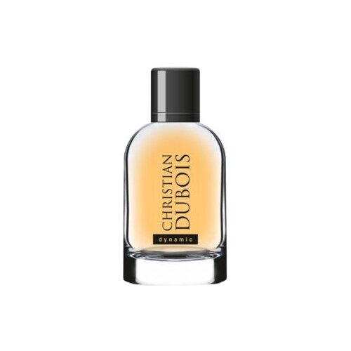 Dilis Parfum туалетная вода Christian Dubois Dynamic, 100 мл, 360 г