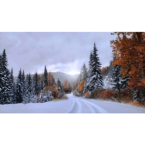 Картина на холсте 60x110 LinxOne "Зима снег пейзаж природа" интерьерная для дома / на стену / на кухню / с подрамником