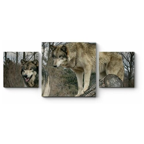 Модульная картина Волки в осеннем лесу 90x39