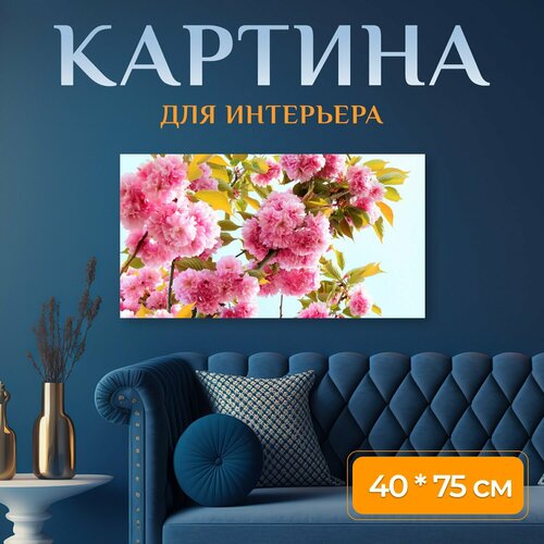 Картина на холсте "Цветы, сакура, цветение вишни" на подрамнике 75х40 см. для интерьера