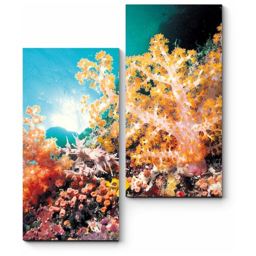 Модульная картина Яркий коралловый мир 60x75