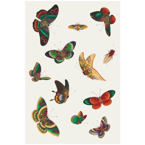 Постер / Плакат / Картина Бабочки - Полёт пёстрых бабочек 90х120 см в подарочном тубусе