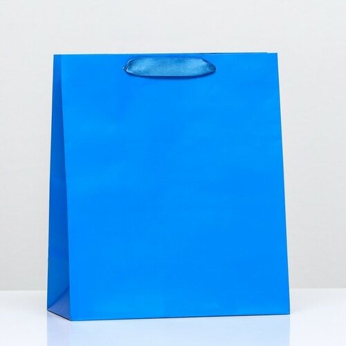 Пакет ламинированный «Синий», 23 х 27 х 11,5 см