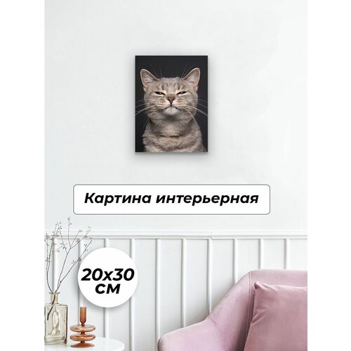 Картины для интерьера 20х30 Кошка Кот Коты