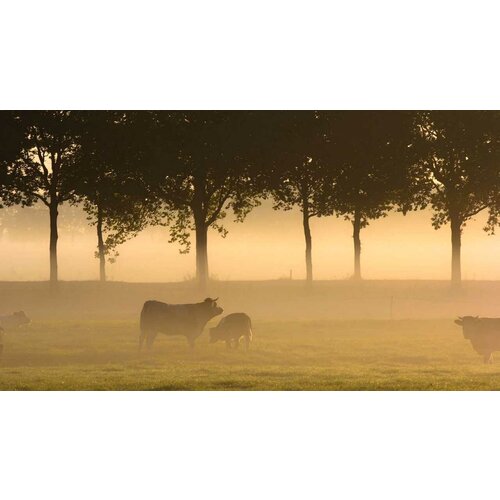 Картина на холсте 60x110 Альянс Лес "Утро пейзаж туман поле коровы" на подрамнике / интерьер/ декор