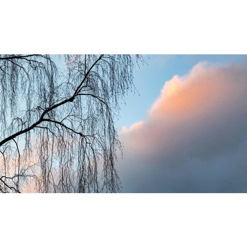 Картина на холсте 60x110 LinxOne "Природа Небо Ветки Дерево Облака" интерьерная для дома / на стену / на кухню / с подрамником