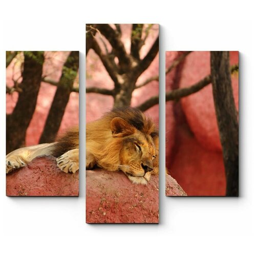 Модульная картина Африканский лев отдыхает80x72