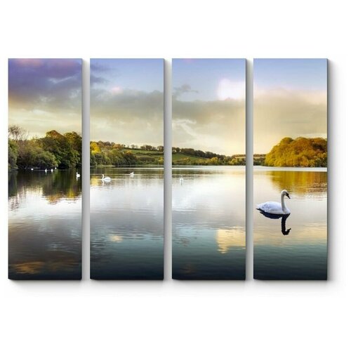 Модульная картина Лебеди в шотландском озере 60x45