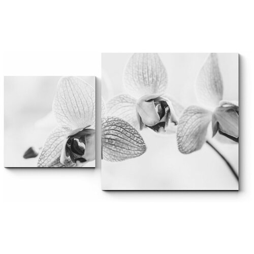 Модульная картина Черно-белые орхидеи 50x30
