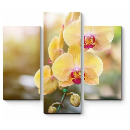 Модульная картина Чарующая орхидея 130x117