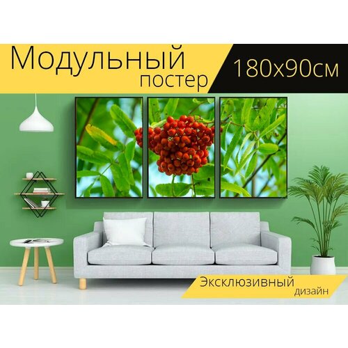Модульный постер "Осень, ягоды, ягода" 180 x 90 см. для интерьера