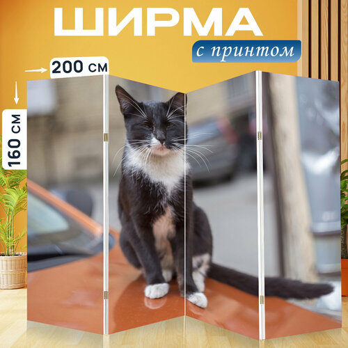 Ширма перегородка с принтом "Кот, кошка, котенок" на холсте - 200x160 см. для зонирования, раскладная