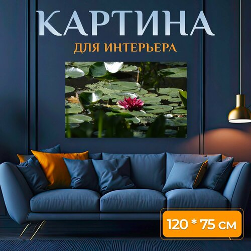 Картина на холсте "Цветок, воды, кувшинка" на подрамнике 120х75 см. для интерьера