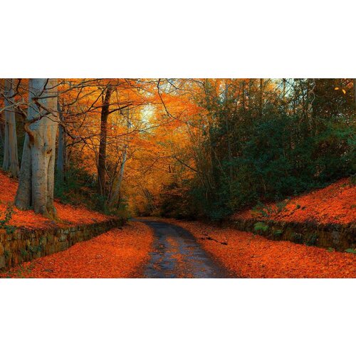 Картина на холсте 60x110 Альянс Лес "Осень пейзаж осенние листья" на подрамнике / интерьер/ декор