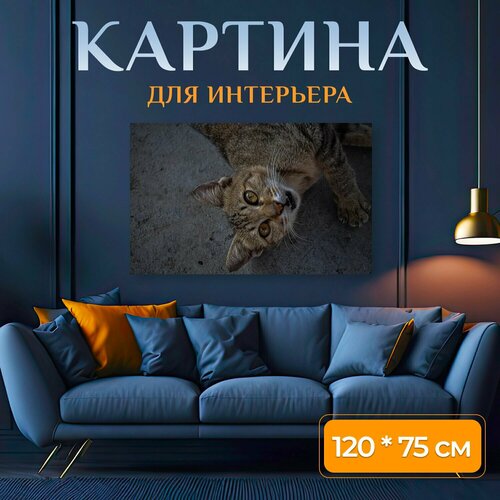 Картина на холсте "Кошка, животные, тигр" на подрамнике 120х75 см. для интерьера