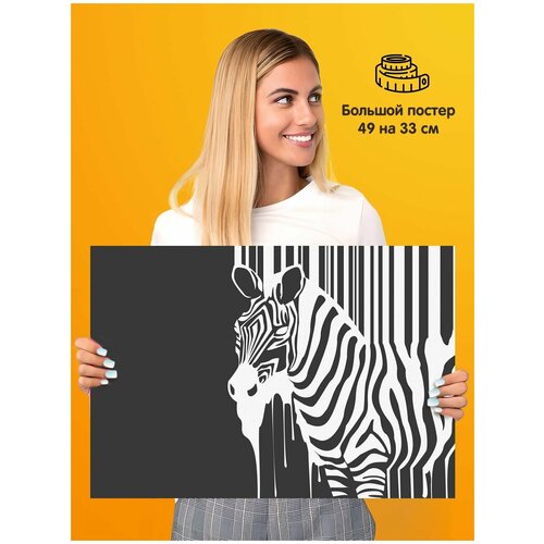 Постер плакат Zebra Зебра