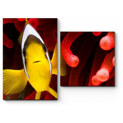 Модульная картина Рыбка в кораллах 100x75