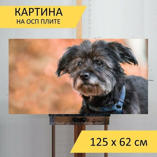 Картина на ОСП 125х62 см. "Собака, старый, гибридный" горизонтальная, для интерьера, с креплениями