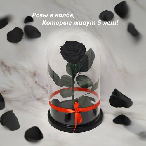 Premium plus роза в колбе, 28х15х9см, черная, RozavColbe