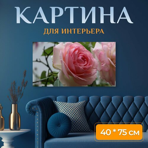 Картина на холсте "Роза, цветок, флора" на подрамнике 75х40 см. для интерьера