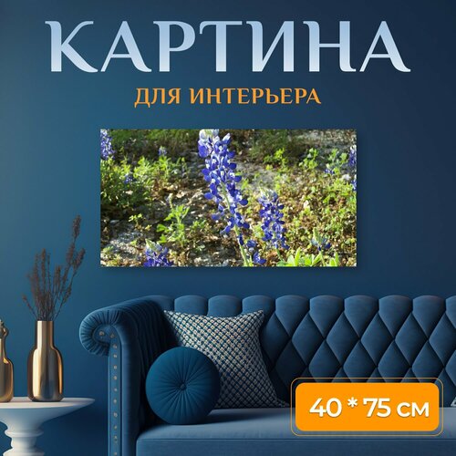Картина на холсте "Цветок, природа, флора" на подрамнике 75х40 см. для интерьера