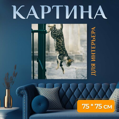 Картина на холсте "Кошка, прыжок, охота" на подрамнике 75х75 см. для интерьера