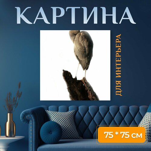 Картина на холсте "Голубая цапля, дерево, дикая природа" на подрамнике 75х75 см. для интерьера