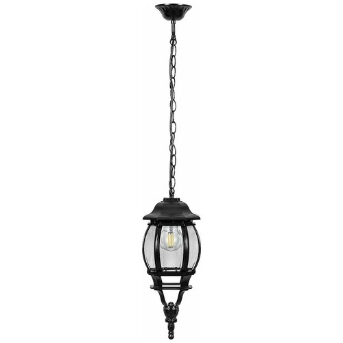Feron Уличный подвесной светильник 8105 11104, E27, 100 Вт, цвет арматуры: черный, цвет плафона бесцветный