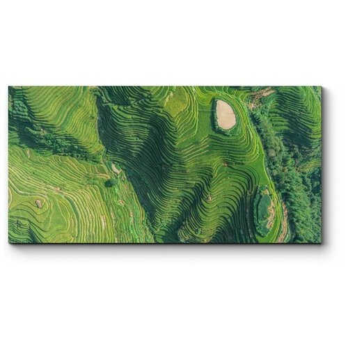 Модульная картина Линии рисовых полей 50x25