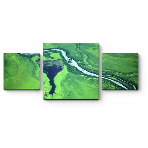 Модульная картина Зеленые поля и река с высоты птичьего полета160x69