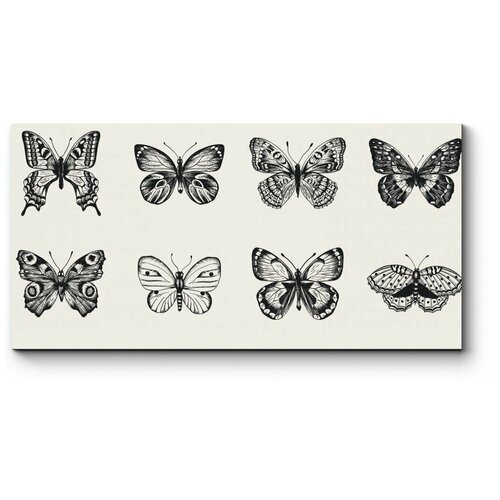 Модульная картина Черно-белые бабочки 70x35