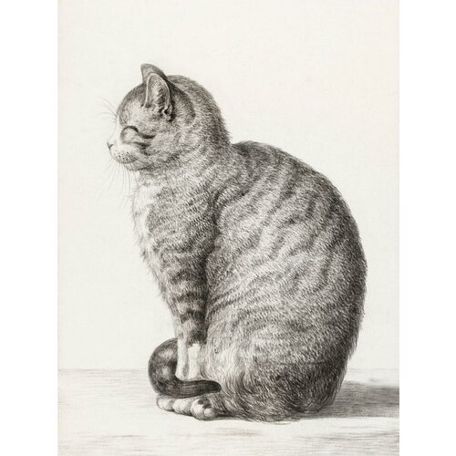 Постер / Плакат / Картина Кошки - Сидящая кошка 40х50 см в раме
