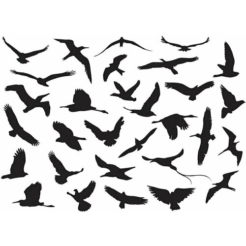 Плакат, постер на холсте Minimal: birds/Птицы/искусство/арт/абстракция/творчество. Размер 42 х 60 см