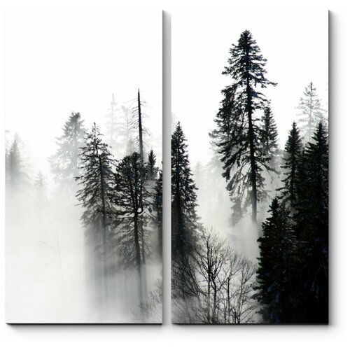 Модульная картина Лес в утреннем тумане 40x40