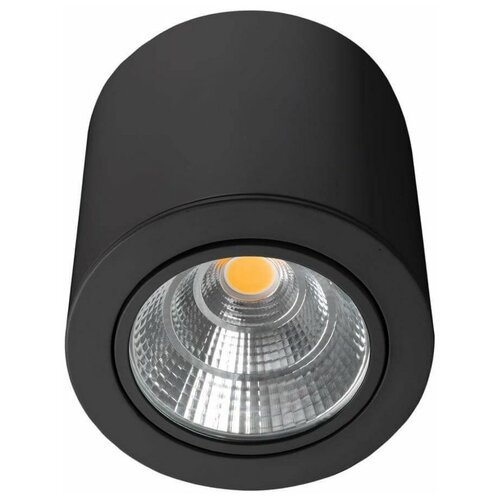 Накладной светильник LED SP-FOCUS-R140-30W Warm3000 (BK, 24 deg, 230V) (Arlight, IP20 Металл, 3 года) 029538